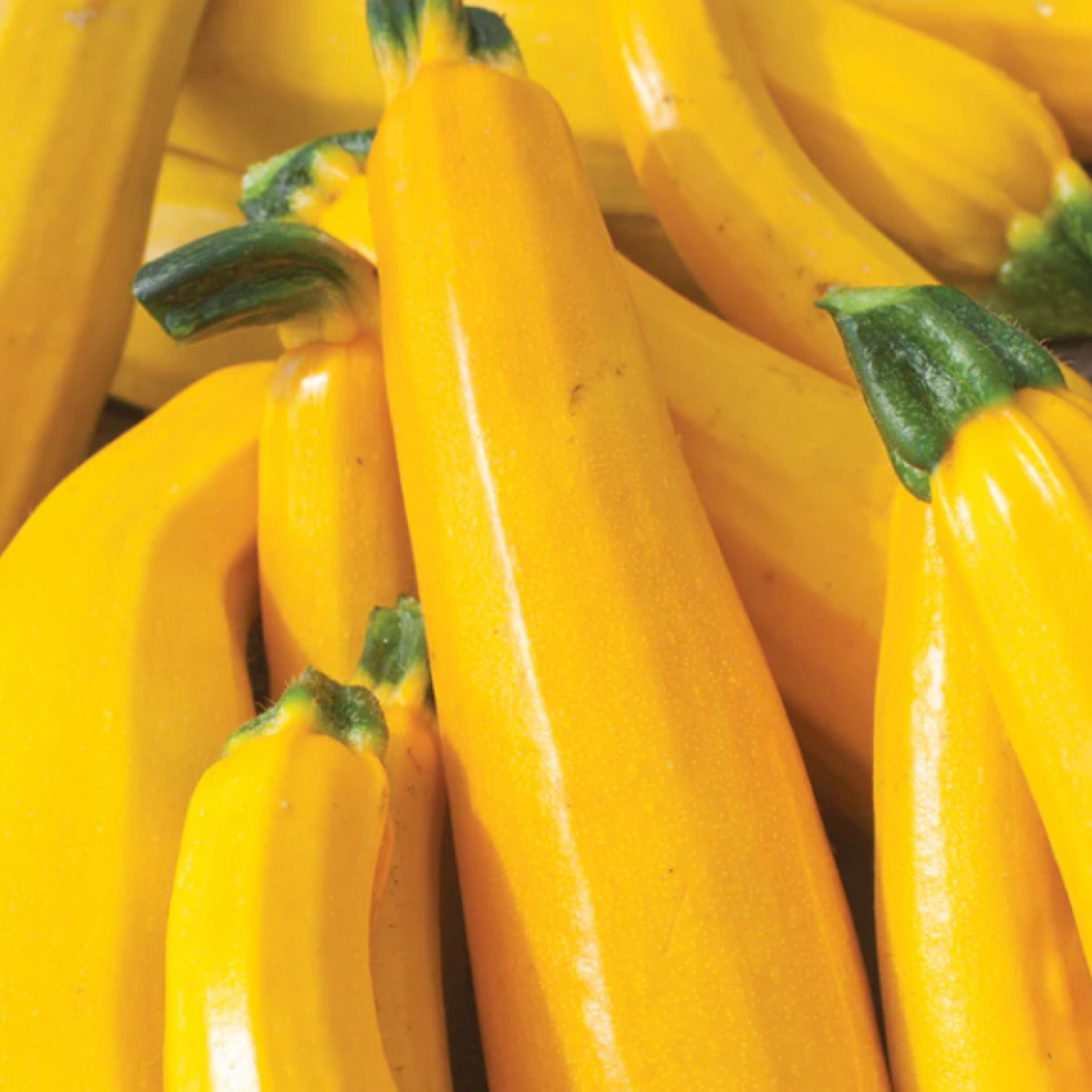 🥕 Yellow Courgettes Kg | Deli @ Castle Ashby